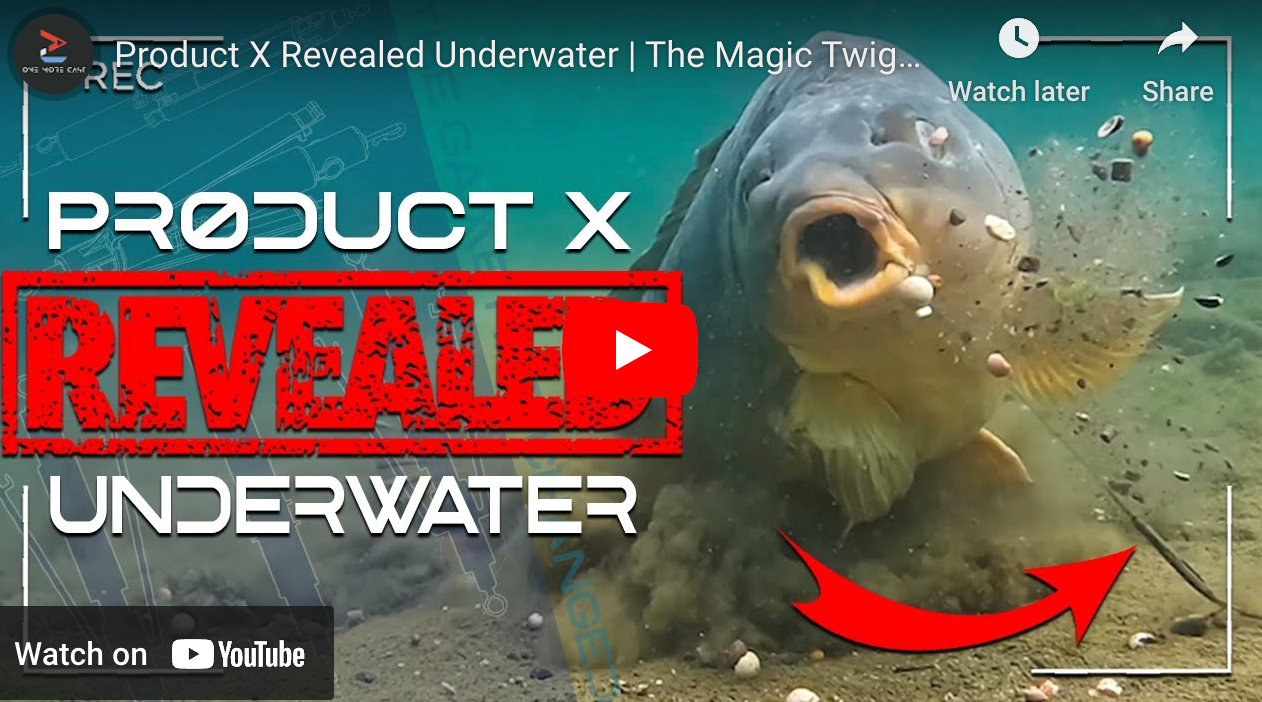 Product X Revealed Underwater | The Magic Twig | Carp Fishing | Ali Ha ...