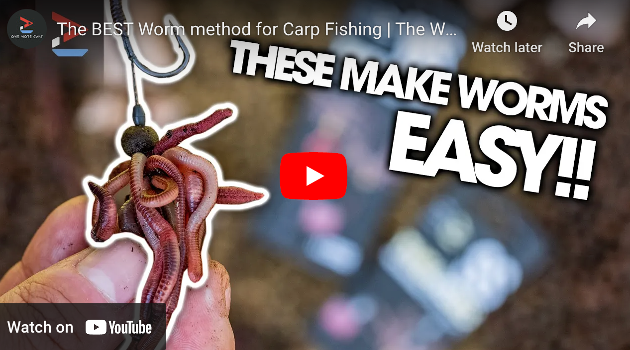 The BEST Worm method for Carp Fishing | The Wormurai Step by Step | On ...