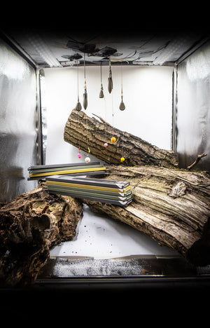 One More Cast | Fishing Tackle & Outdoor Products – ONE MORE CAST